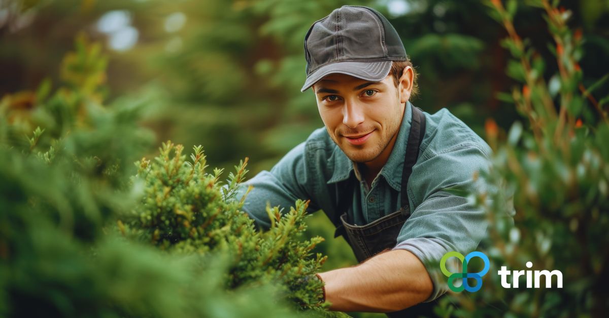 Landscaping Jobs in Phoenix – Careers at Trim Landscaping