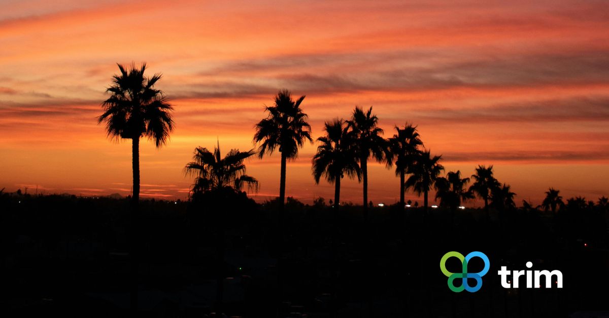 Tree & Palm Services Phoenix | Trim Landscaping